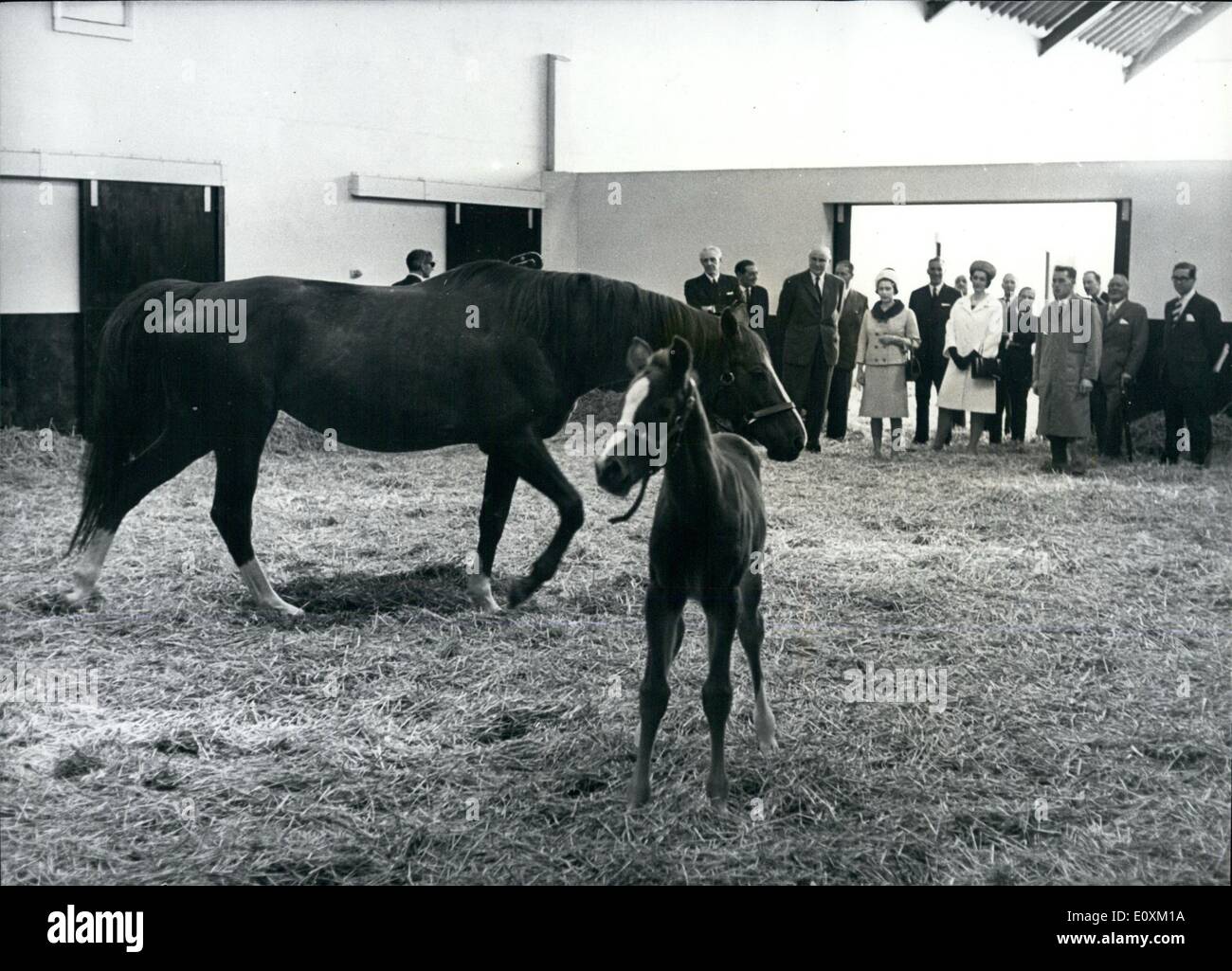 Stud dam hi-res stock photography and images - Alamy