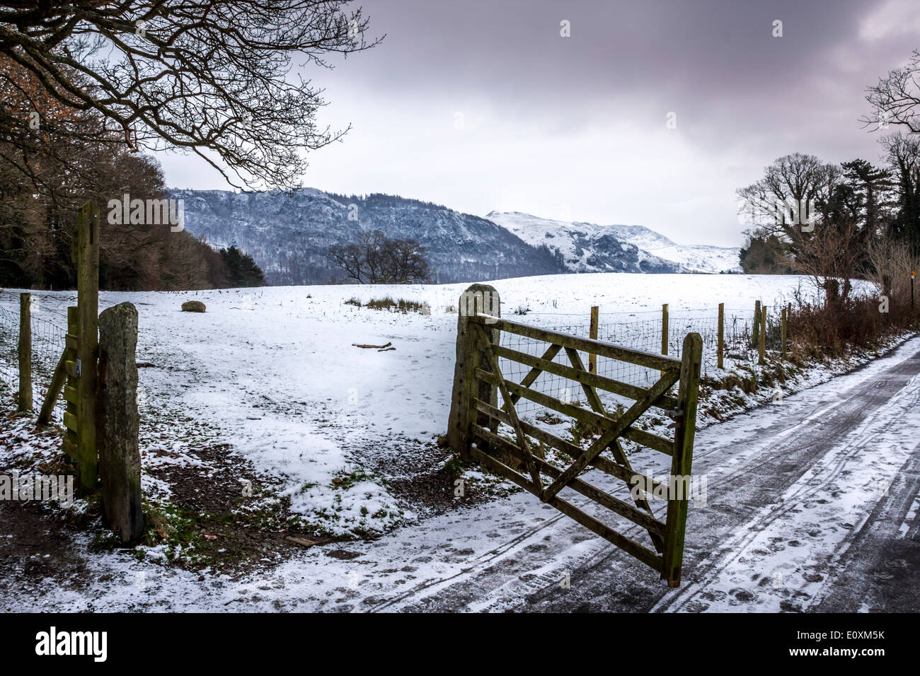 Gate open empty field hi-res stock photography and images - Alamy