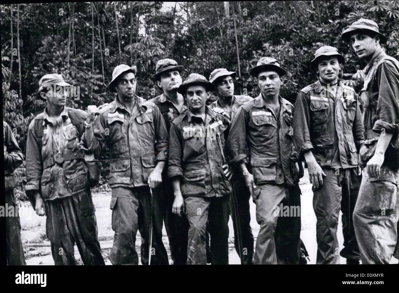 Brazilian Military History Smoking Snakes: Brazil's Forgotten WW2