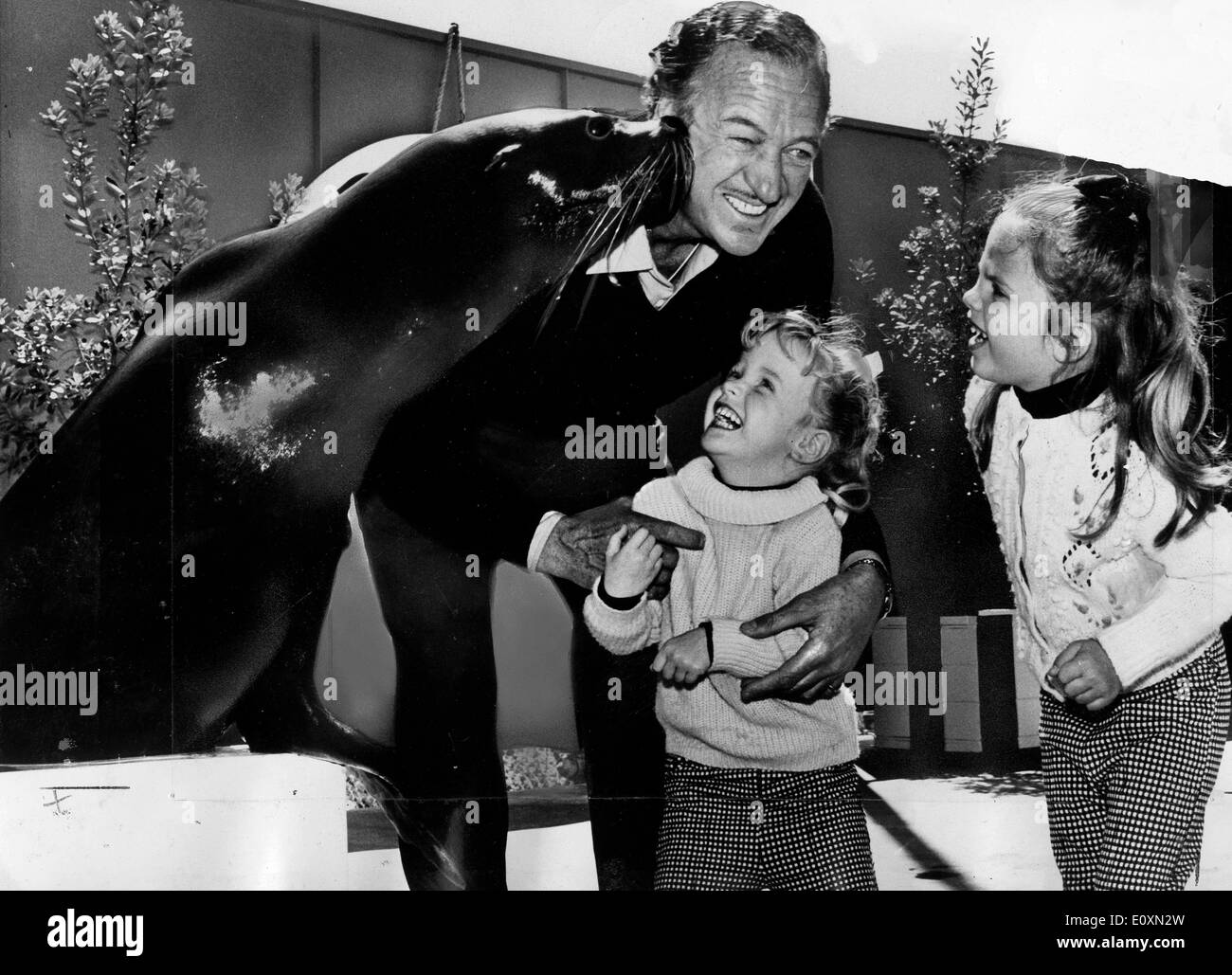 David Niven Fiona Niven