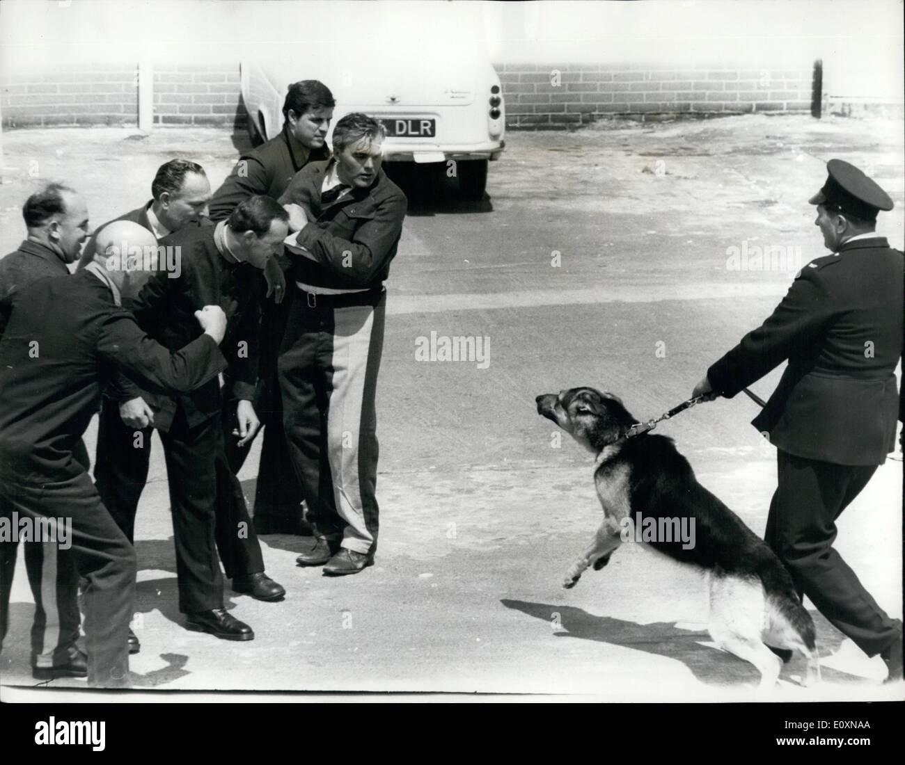 Metropolitan police dog school hi-res stock photography and images - Alamy