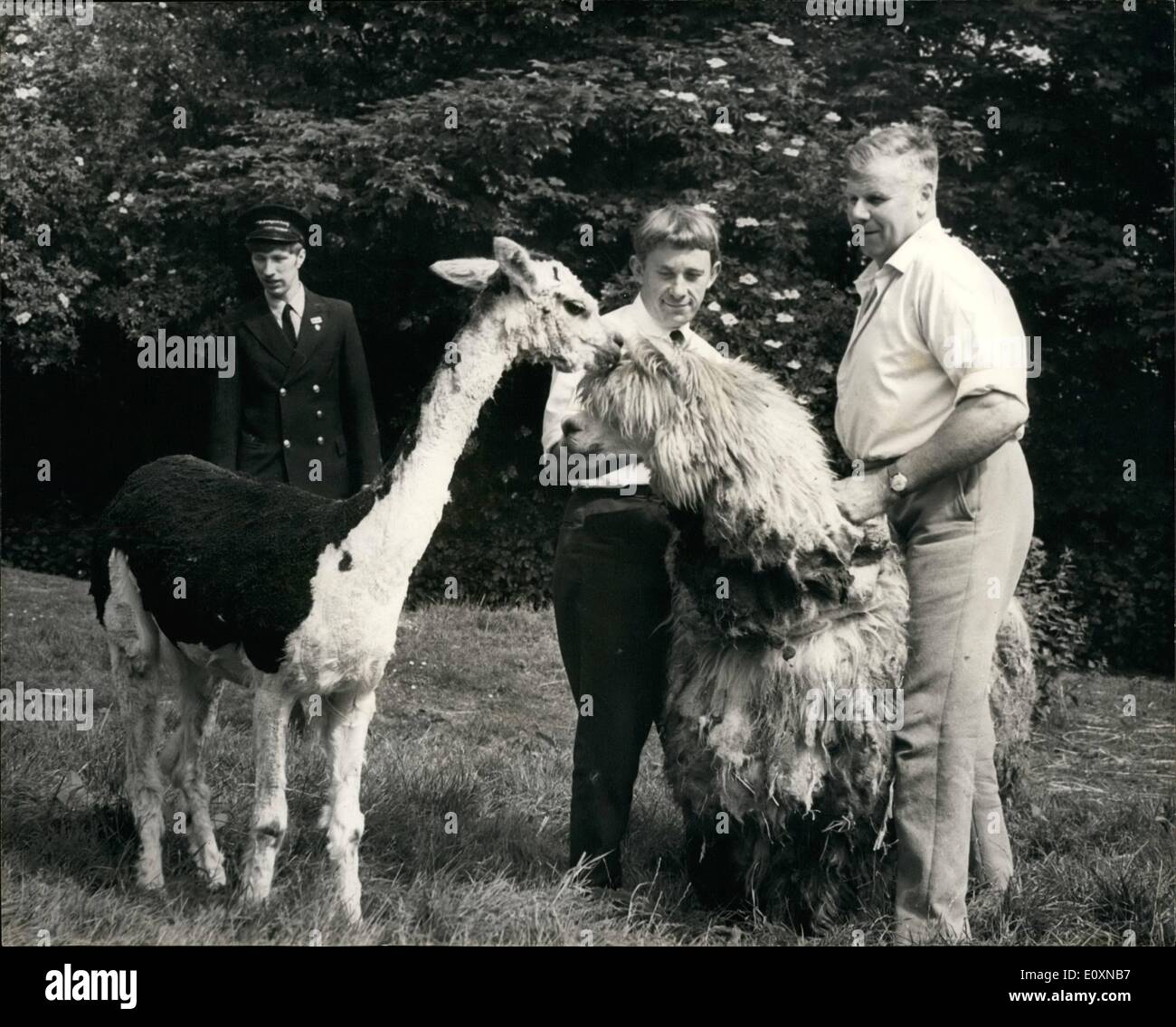 Jun. 06, 1967 - And another lightweight suit comes on the British ...