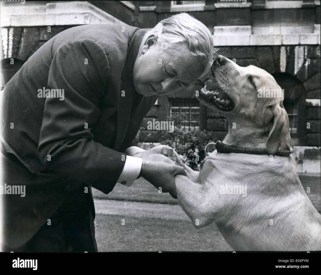 Aug. 08, 1967 - Premier Relaxes with his Dog'' Paddy''. Mr. Harold ...
