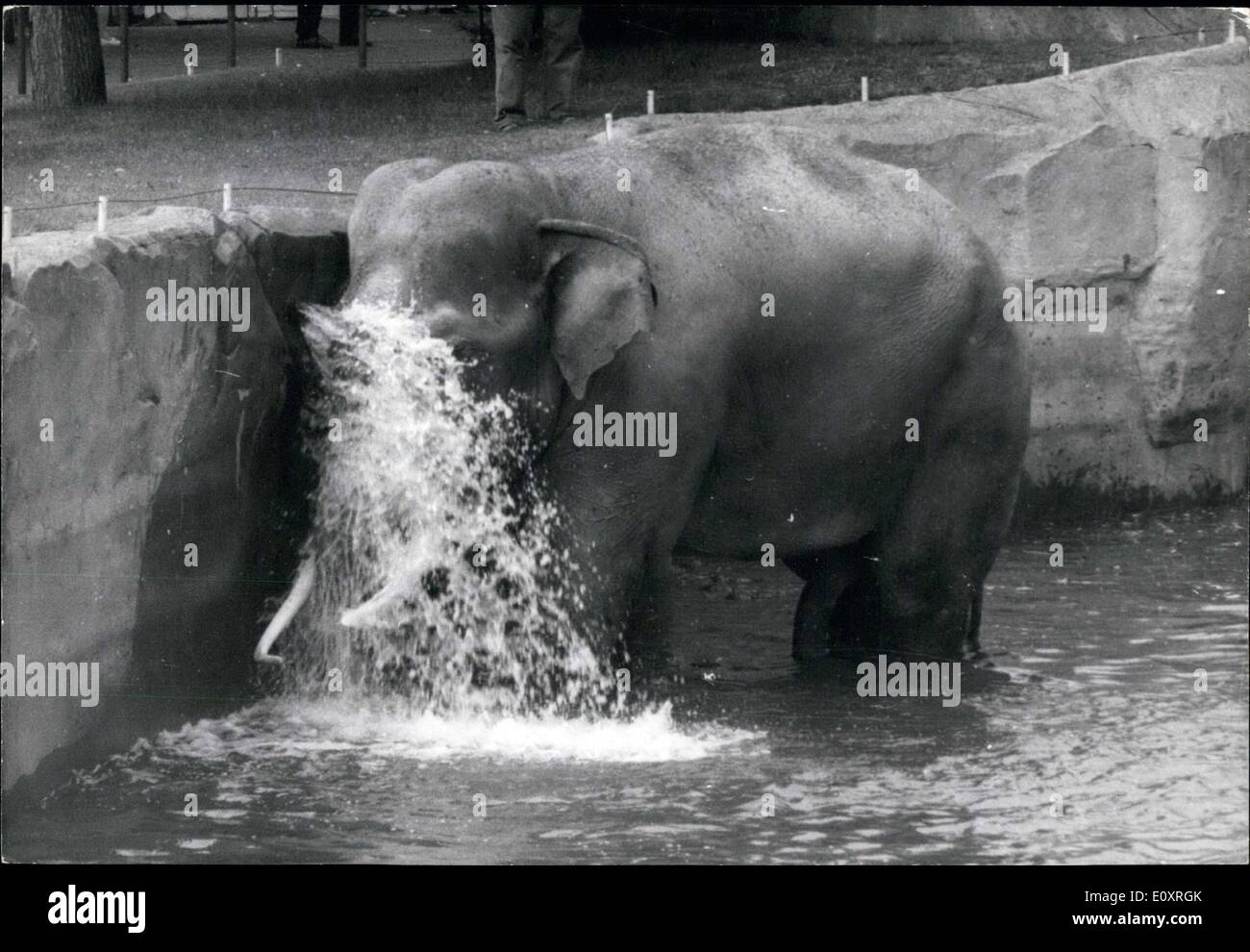Babar the elephant hi-res stock photography and images - Alamy