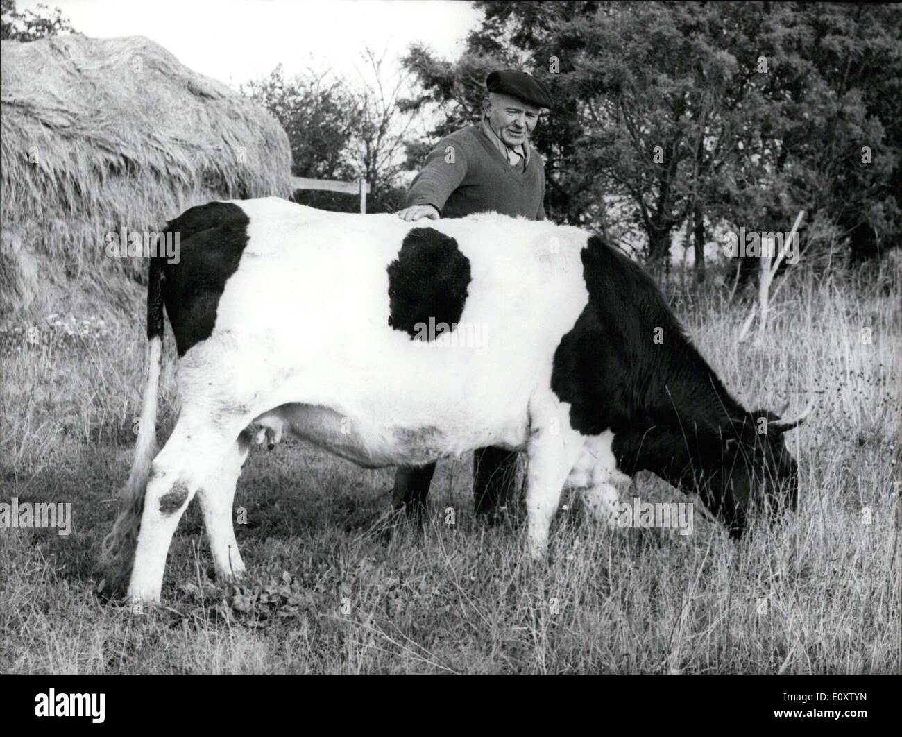 Nov 20 1967 Dahiez Discovered Why Some Cows Who Were Artificially Inseminated Had Only