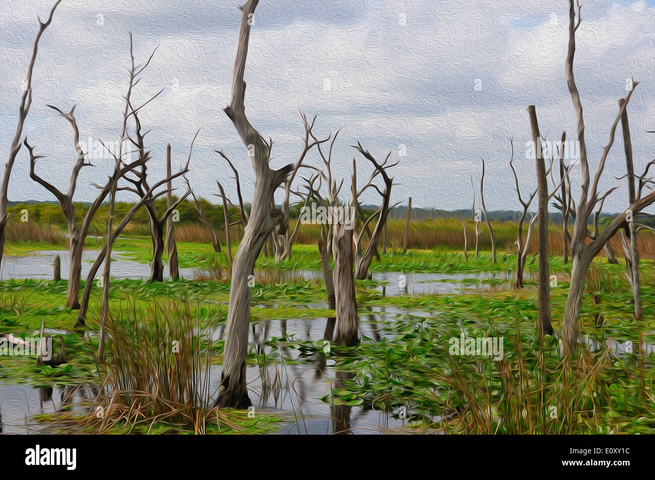 Adaptation to environment hi-res stock photography and images - Alamy