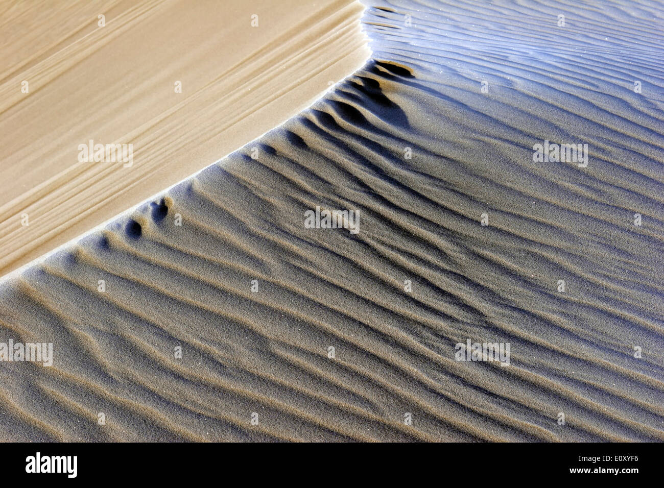 Sand ripples on dune, Great Sand Dunes National Park, Colorado USA ...