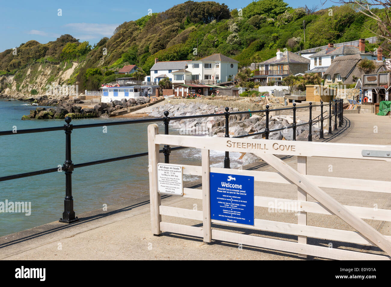 Hampshire steephill cove all hi-res stock photography and images - Alamy