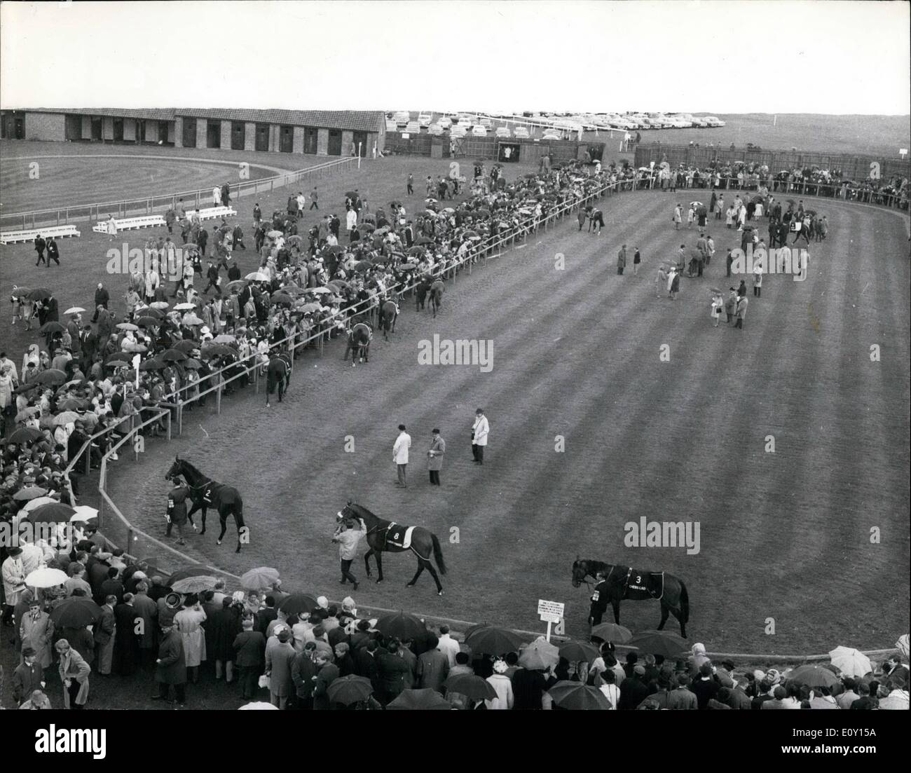 Sir ivor wins 2 000 guineas hi-res stock photography and images - Alamy