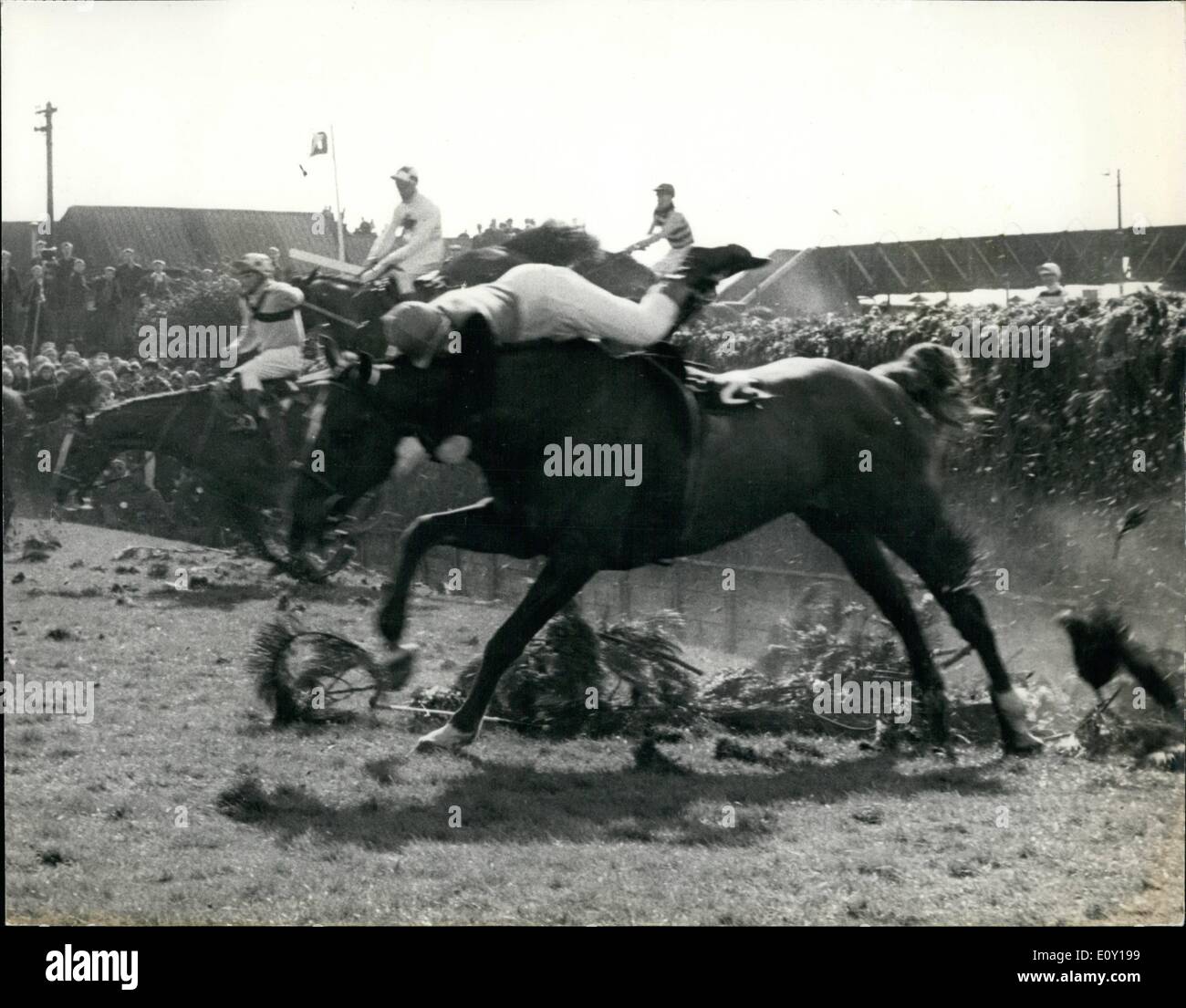 Mar. 03, 1968 - Red Alligator Wins Grand National: Red Alligator riden ...