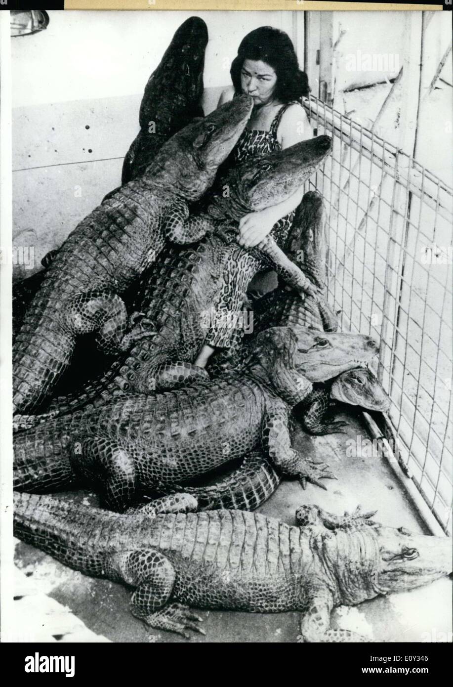 Koringa hi-res stock photography and images - Alamy