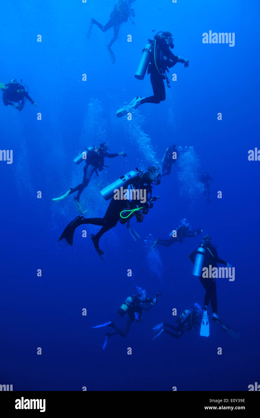 Deep sea divers hi-res stock photography and images - Alamy