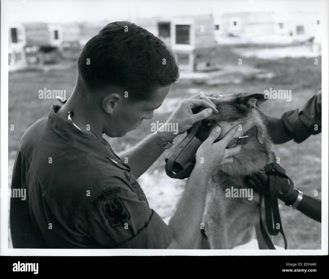 Oct. 10, 1968 - The USARV Dog Training Detachment: SP58 John Canney ...