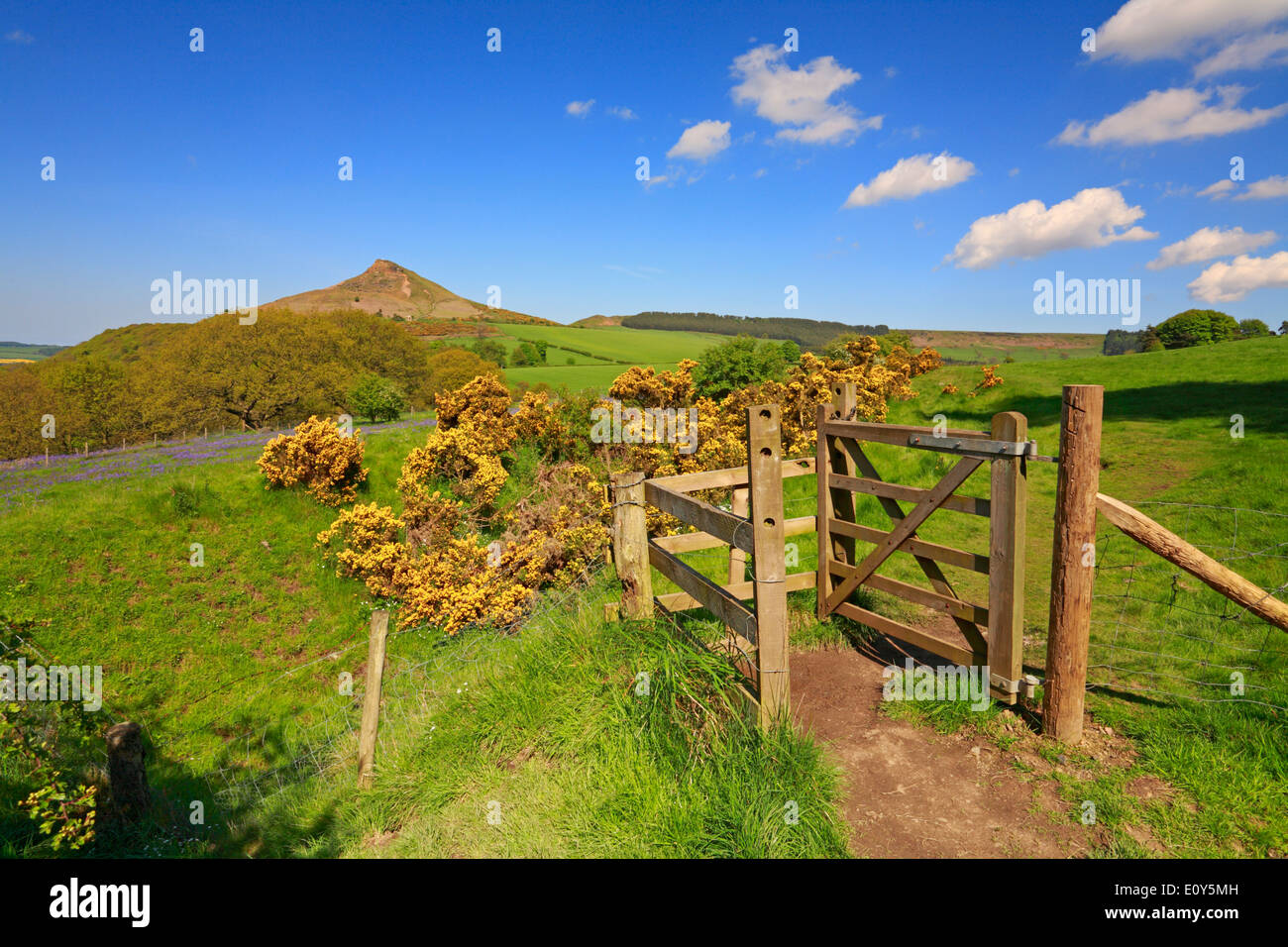 Roseberry Topping, North Yorkshire, North York Moors National Park ...
