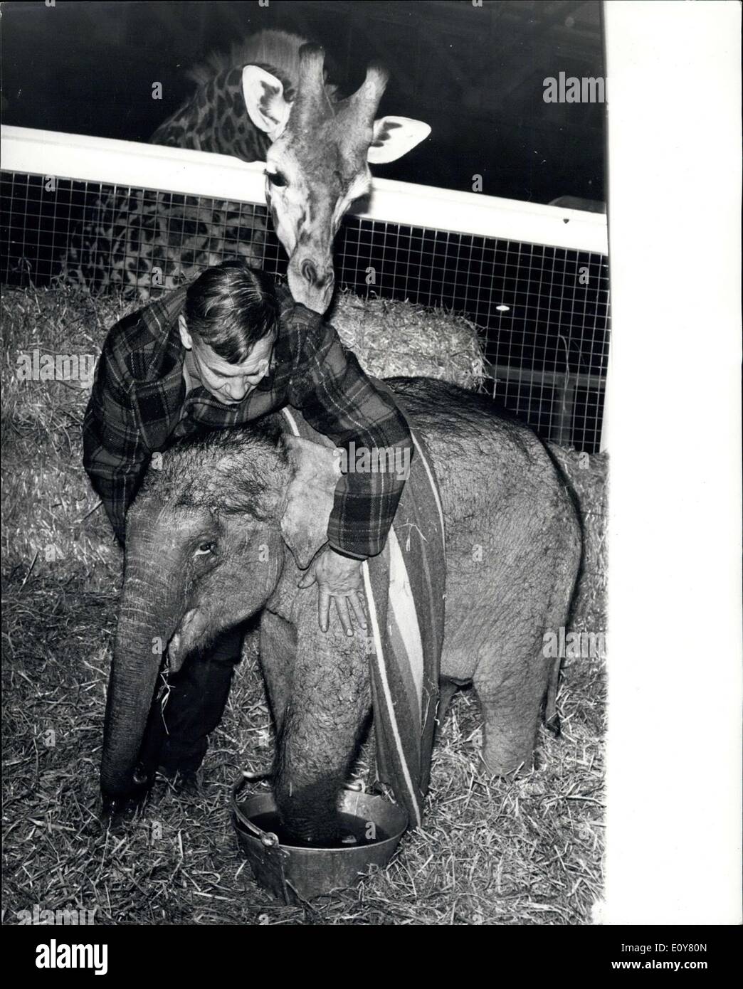 Leeds zoo hi-res stock photography and images - Alamy