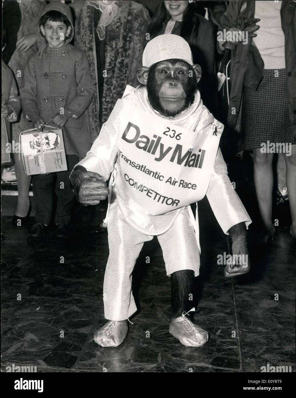 Chimpanzee tv High Resolution Stock Photography and Images - Alamy