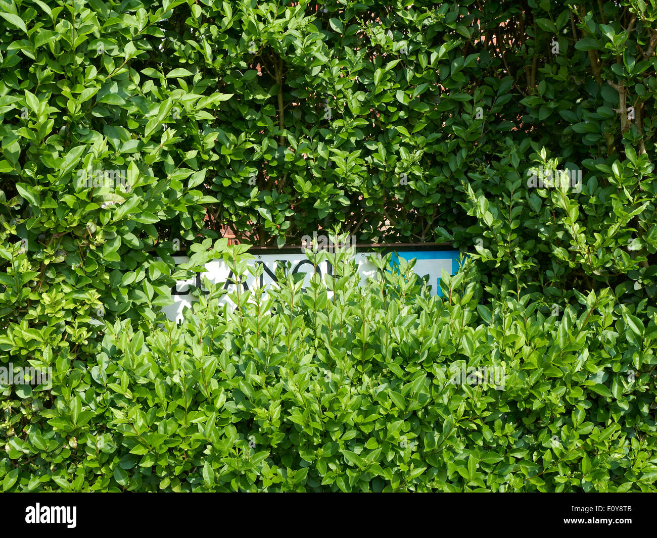 Street name signs hi-res stock photography and images - Alamy