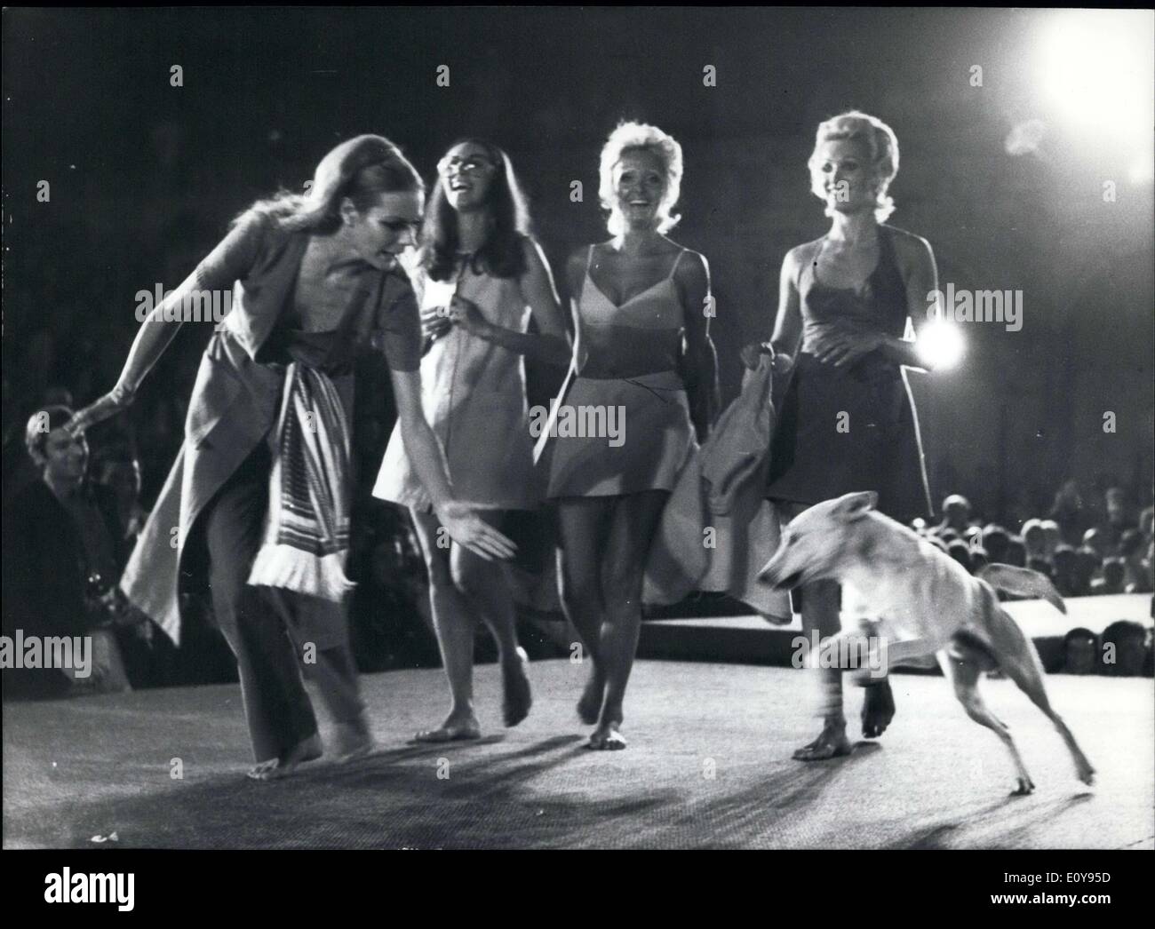 1969 dog disrupts capri fashion show hi-res stock photography and ...