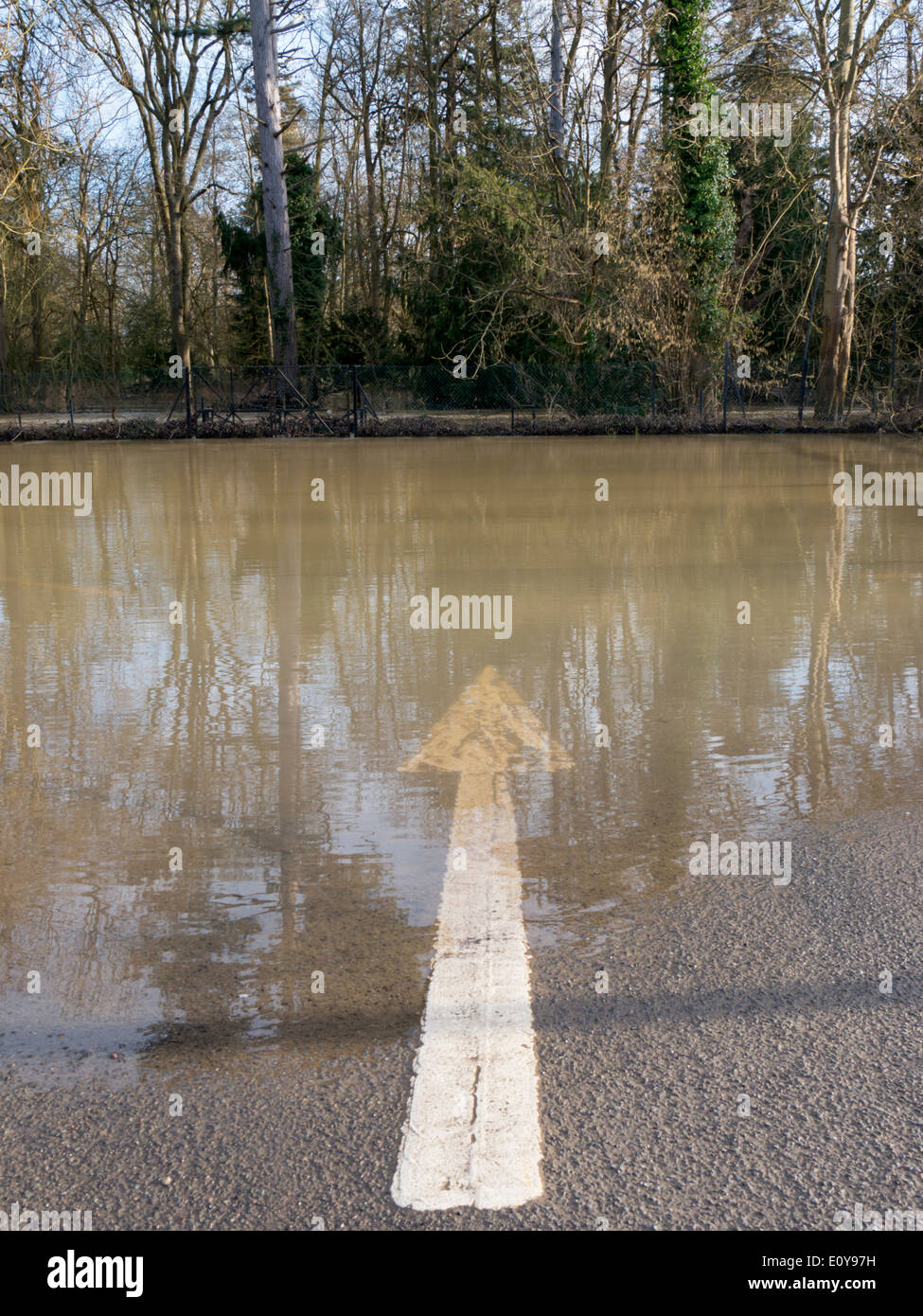 europe, UK, England, Surrey, Cobham floods arrow 2014 Stock Photo - Alamy
