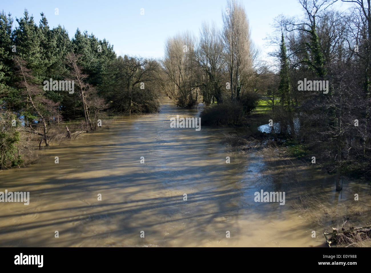 europe, UK, England, Surrey, Cobham Mole floods 2014 Stock Photo - Alamy