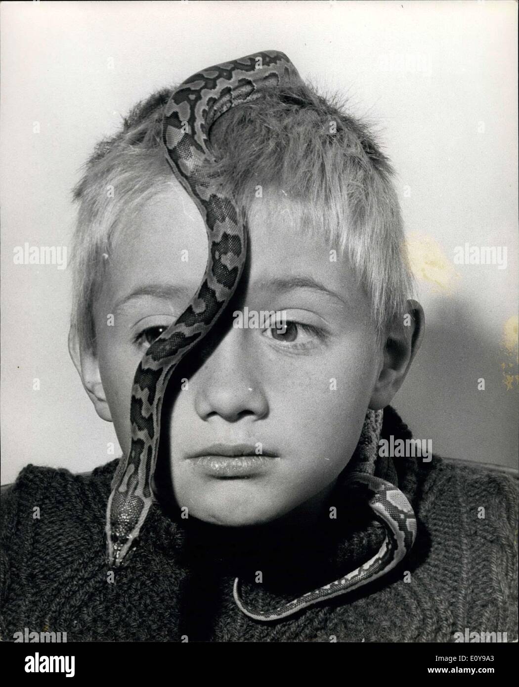 Aug. 27, 1969 - Snakes at the Savoy Boa constrictors, grass snakes and ...