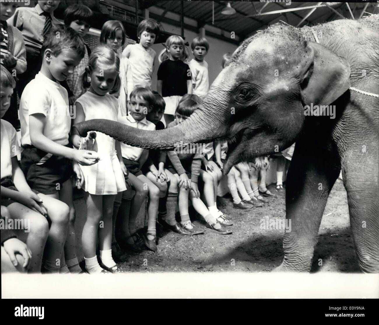 Jun 06 1969 new arrival windsor safari park hi-res stock photography ...