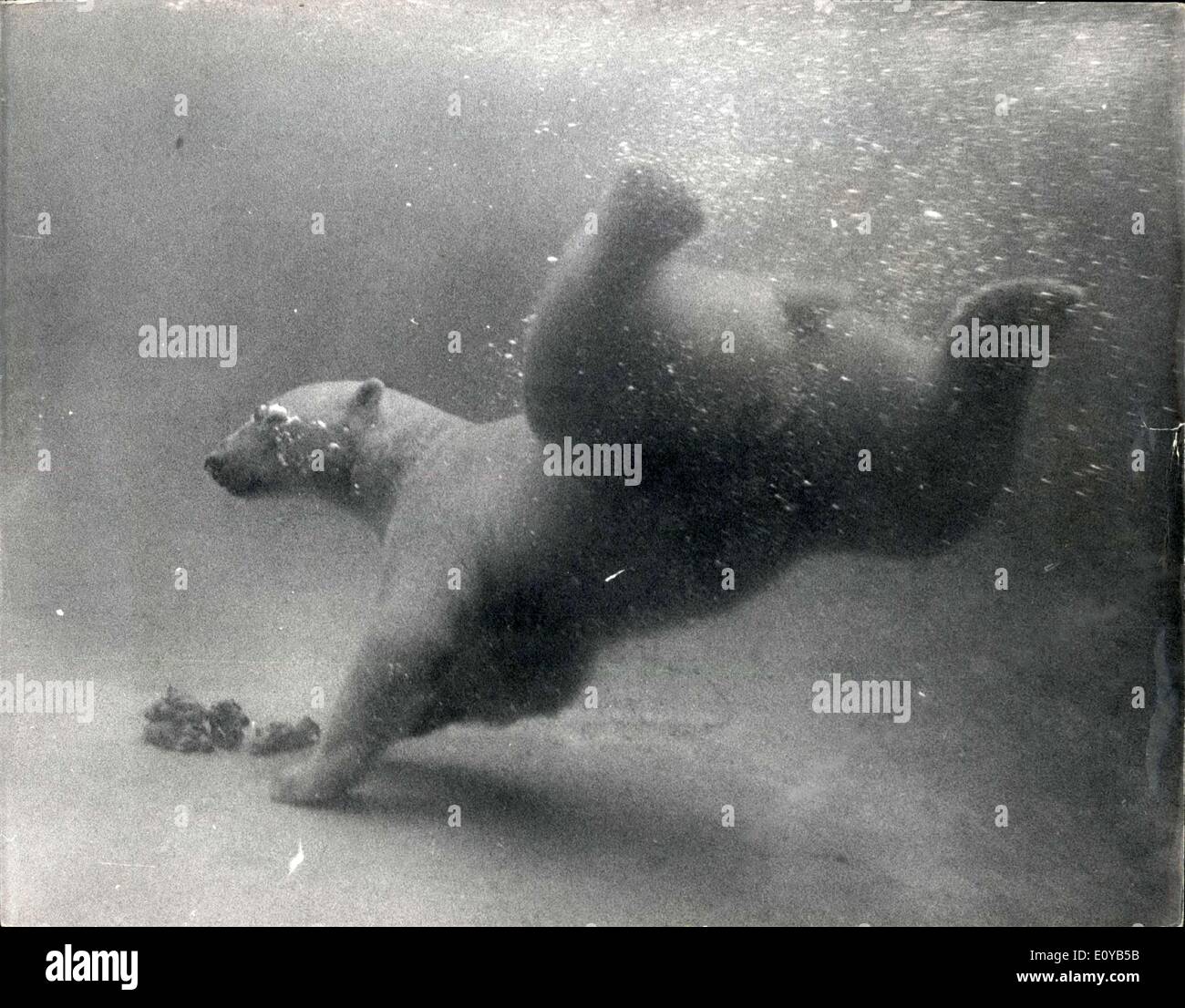 Pipaluk hi-res stock photography and images - Alamy