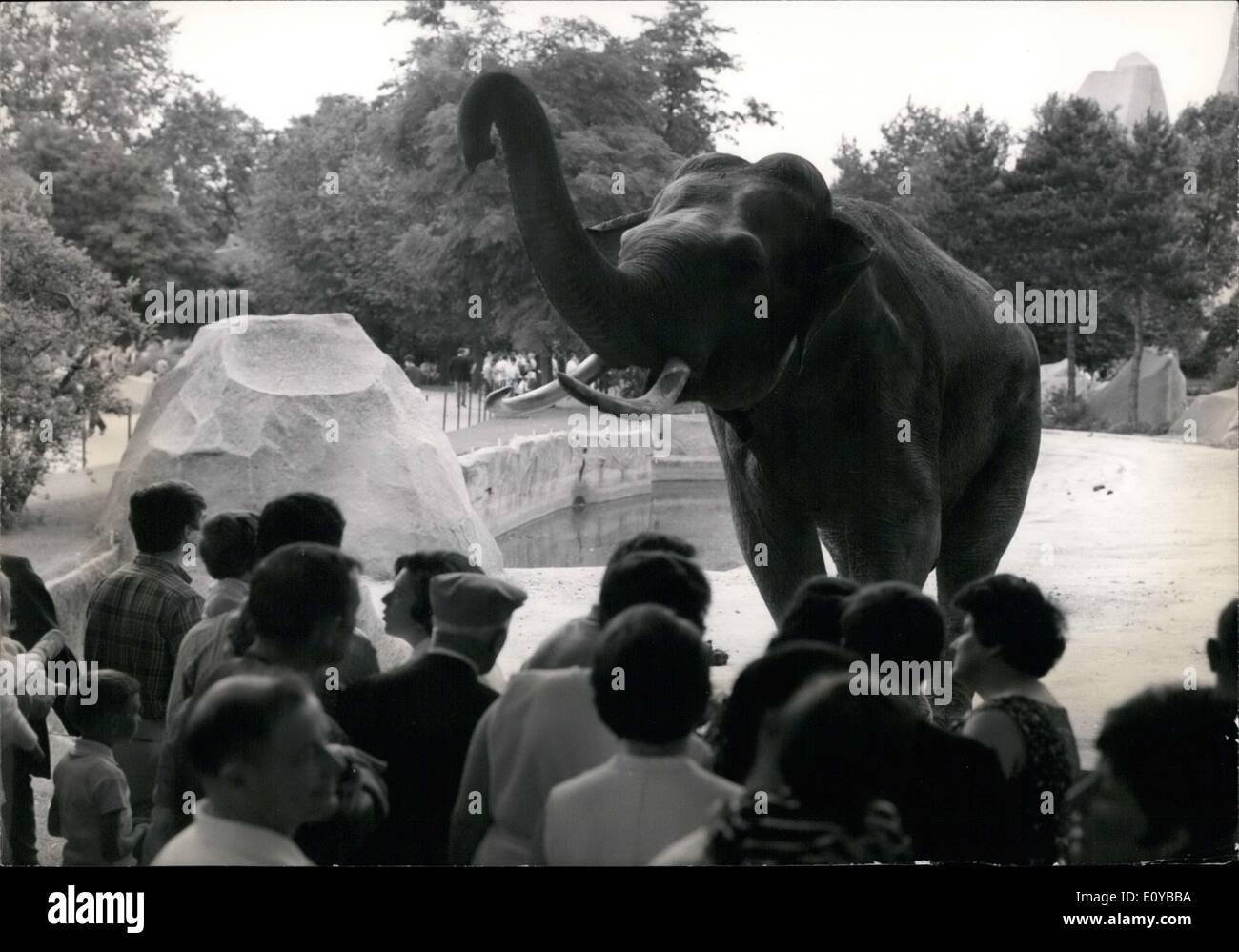 Jul. 22, 1969 - Elephant Entertaining a Crowd at the Vincennes Zoo ...