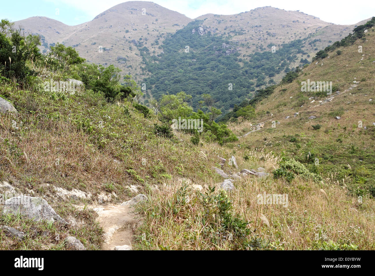 Stone path in the mountains Stock Photo - Alamy
