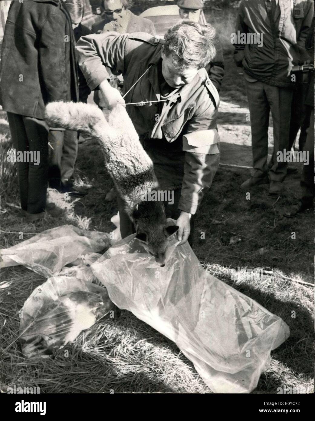 Oct. 30, 1969 - October 30th 1969 Anti-rabies shot at Camberley. Sixty ...