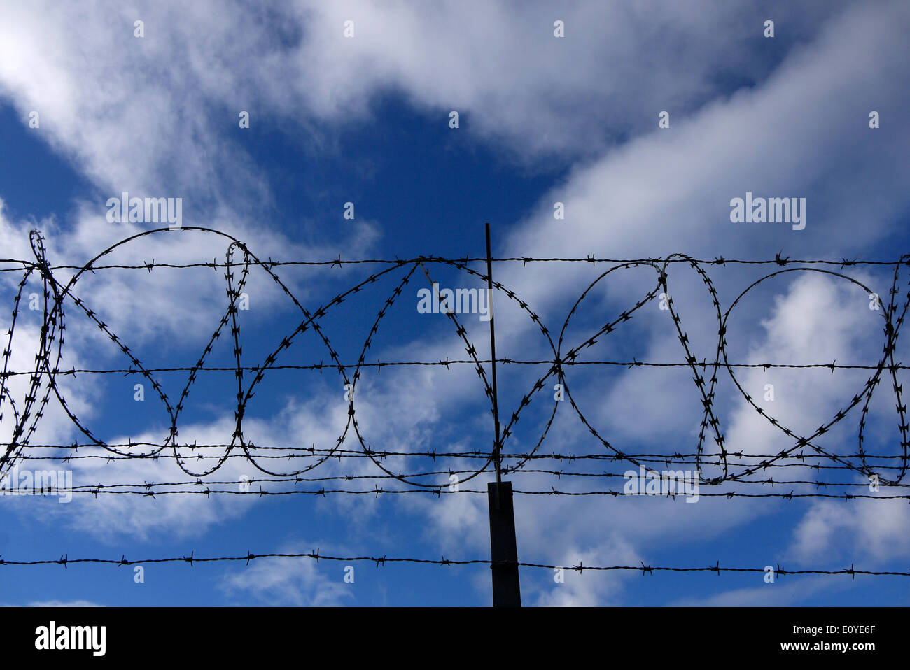 Razor wire against blue sky barbed fence hi-res stock photography and ...