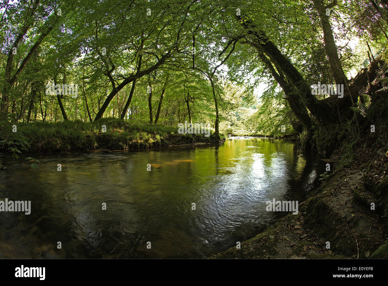 River fowey cornwall hi-res stock photography and images - Alamy