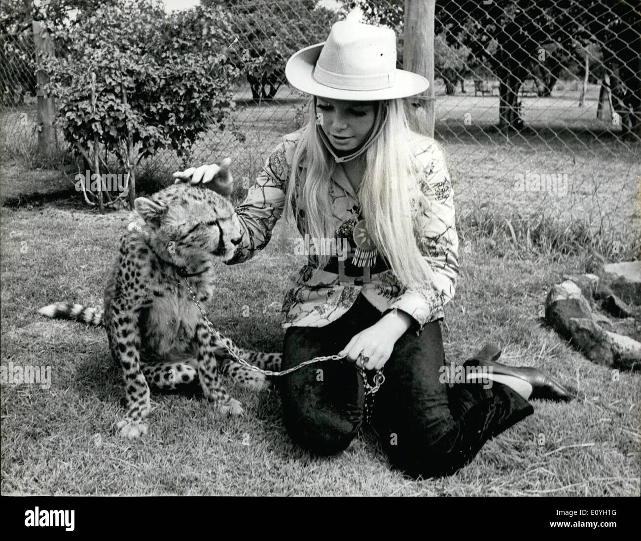 May 05, 1970 - ''Miss World'' Out For A Walk With A Cheetah In Nairobi ...