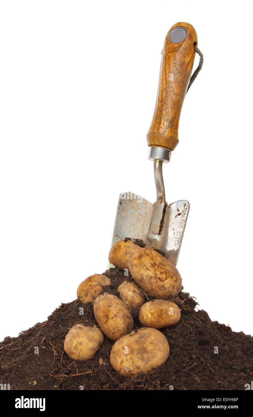 Pile of soil hi-res stock photography and images - Alamy