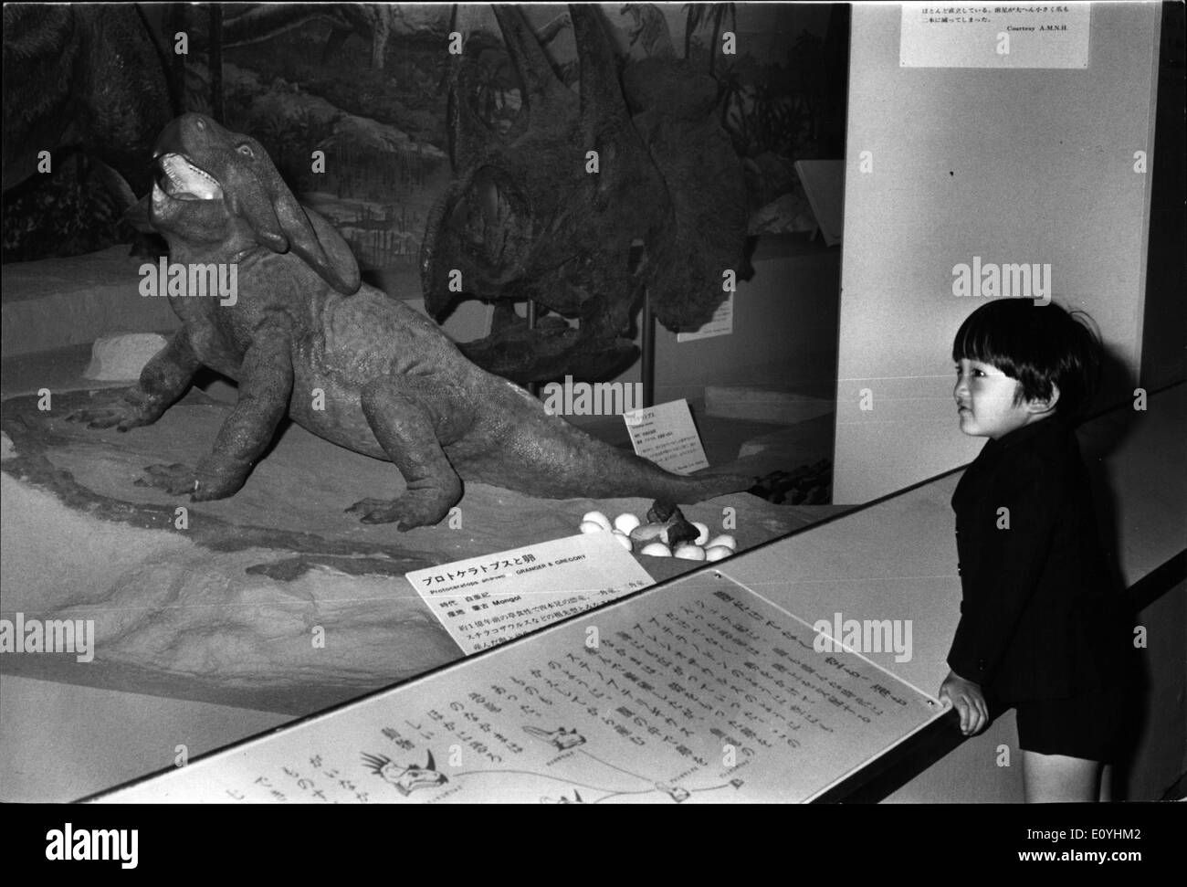 Little prince museum japan hi-res stock photography and images - Alamy