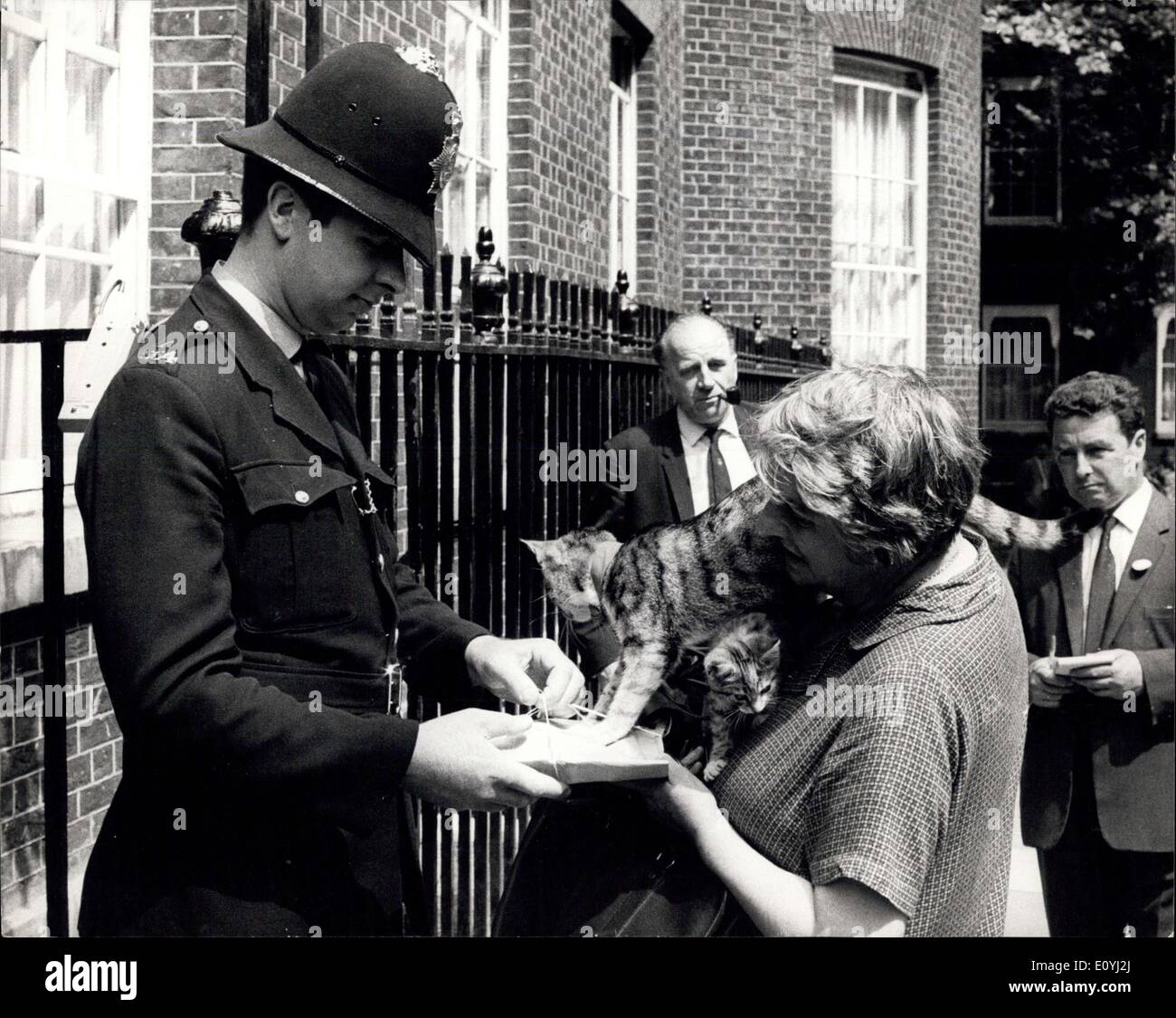 Jun. 20, 1970 - A Well-Wisher Arrives With Her Family Of Cats To ...