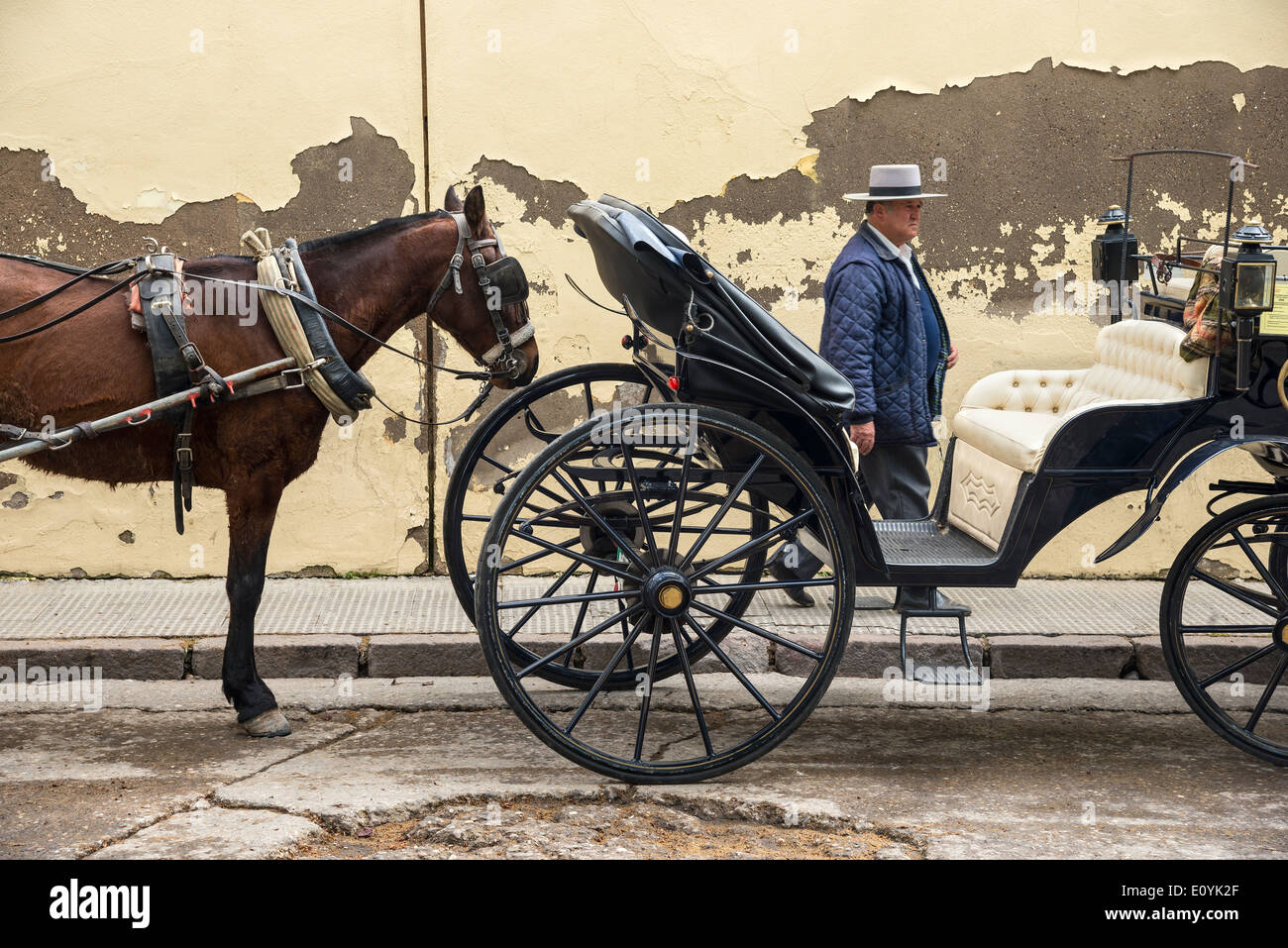 A carriage driver in traditional Andalucian hat awaits passengers ...