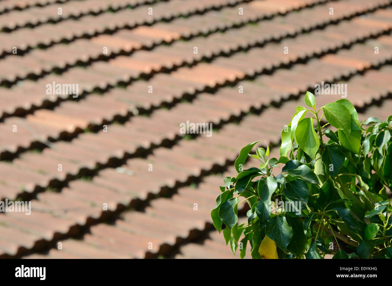 Background of the tiled roof blurred Stock Photo - Alamy
