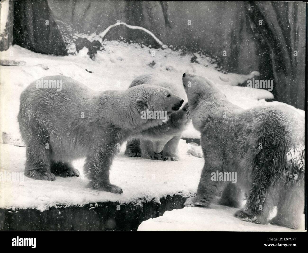 Historical bears in zoo hi-res stock photography and images - Alamy