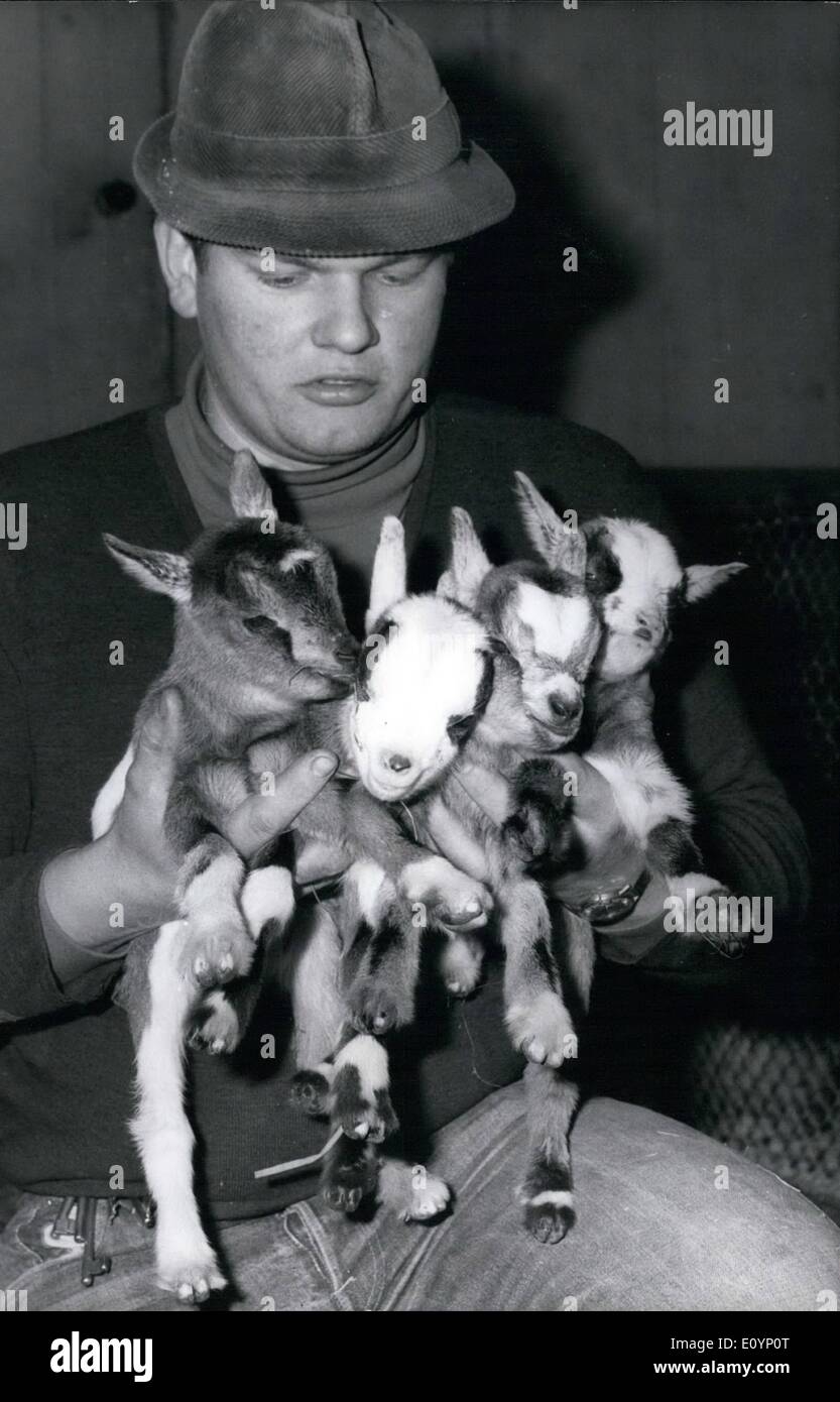 Two by four hi-res stock photography and images - Alamy