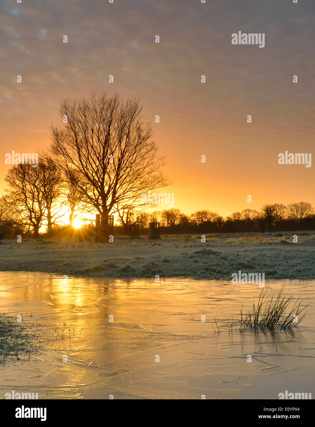 Persistent rise hi-res stock photography and images - Alamy