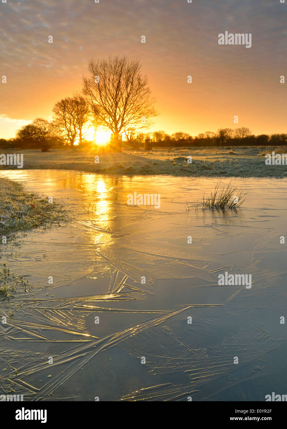 Sunrise reflected in frozen water puddle which formed following ...