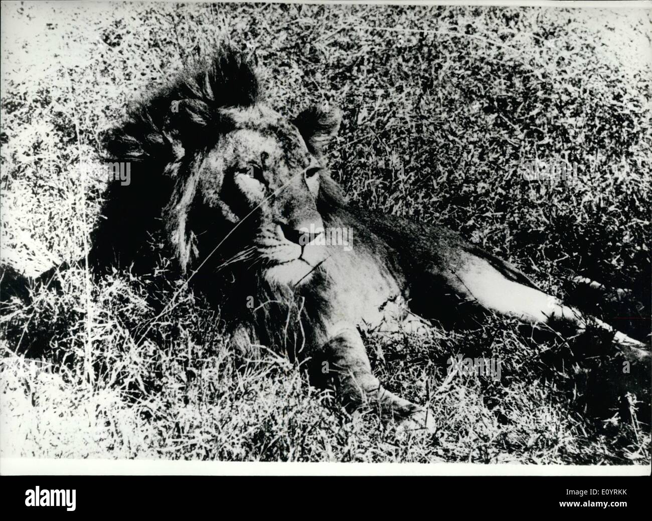 Apr. 04, 1971 - Pictures Taken by Princess Anne on Her African Safari ... Apr. 04, 1971 - Pictures Taken by Princess Anne on Her African Safari ...