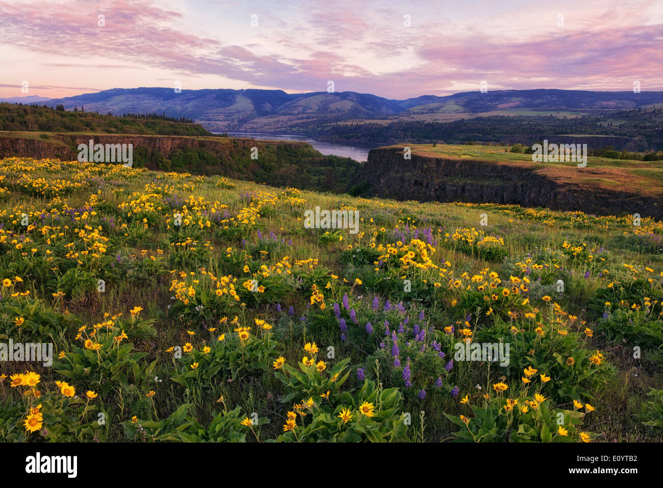 Columbia plateau hi-res stock photography and images - Alamy