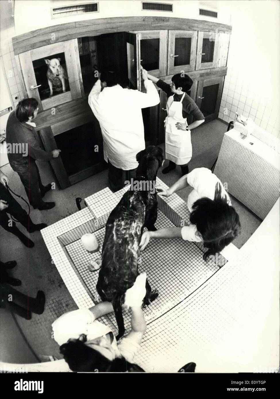 Cats city basel hi-res stock photography and images - Alamy