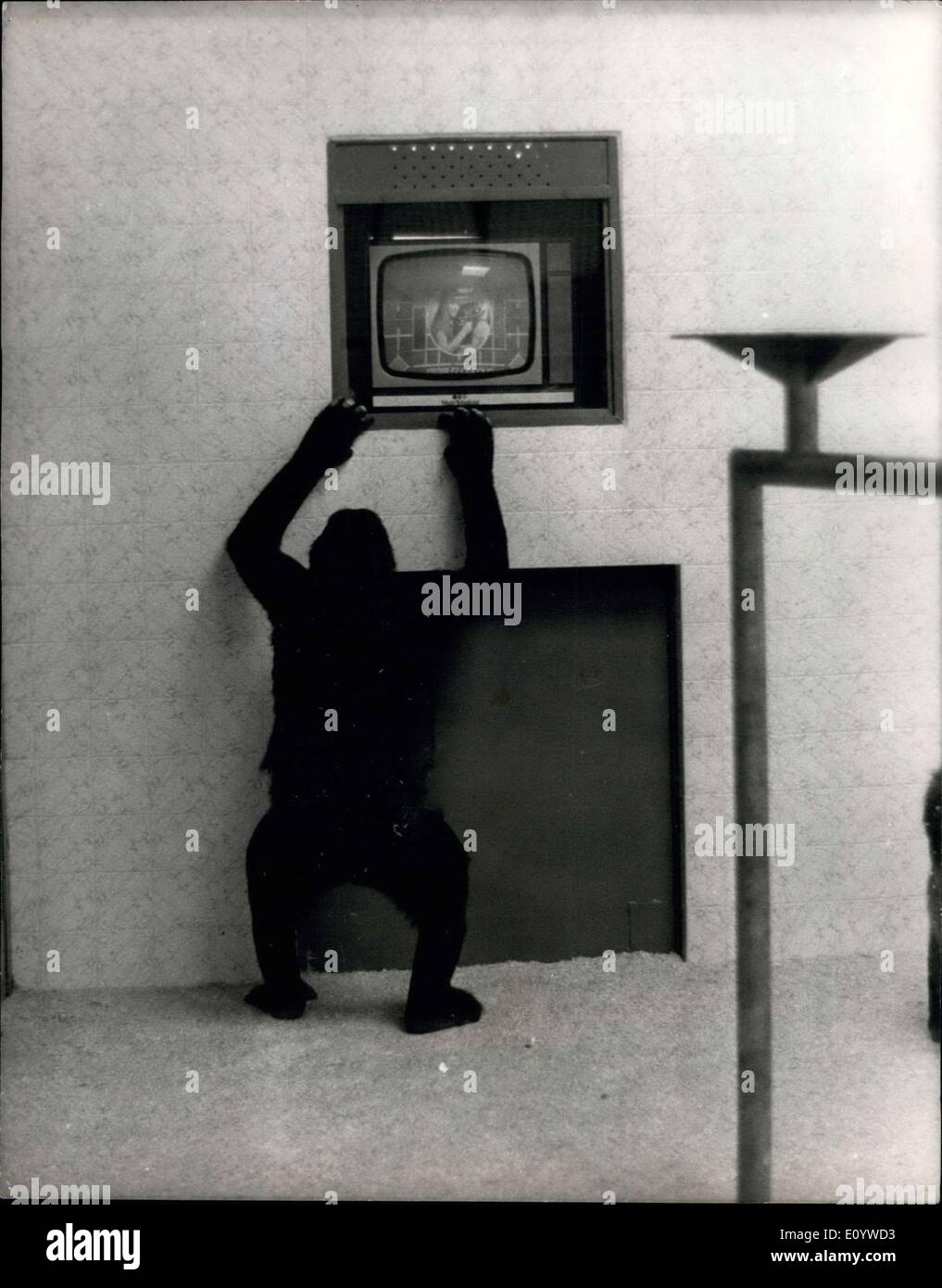 Jul. 08, 1971 - New ?15,000 home with colour T.V. for two Gorillas: A ...