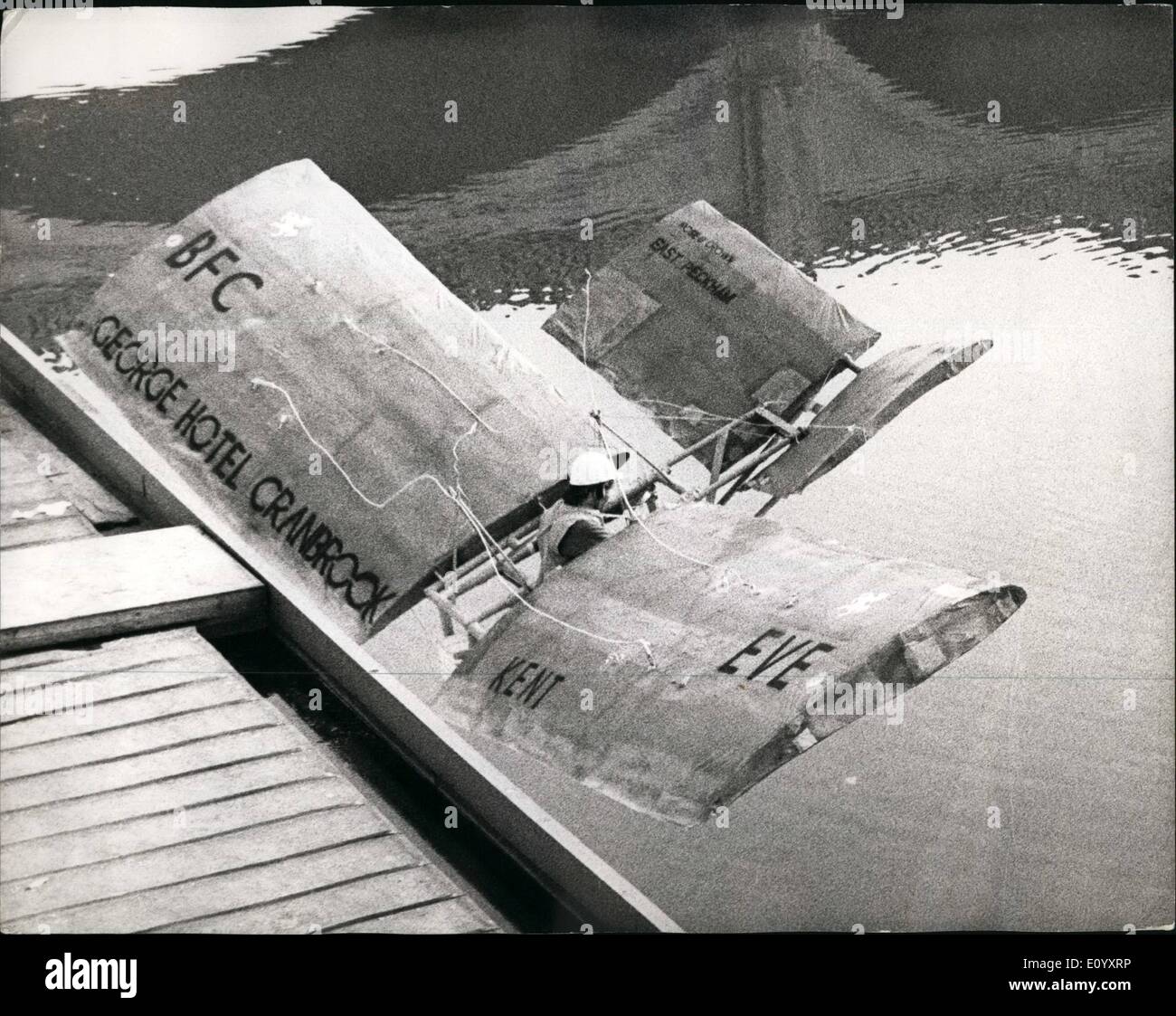 Free Fly Like A Bird