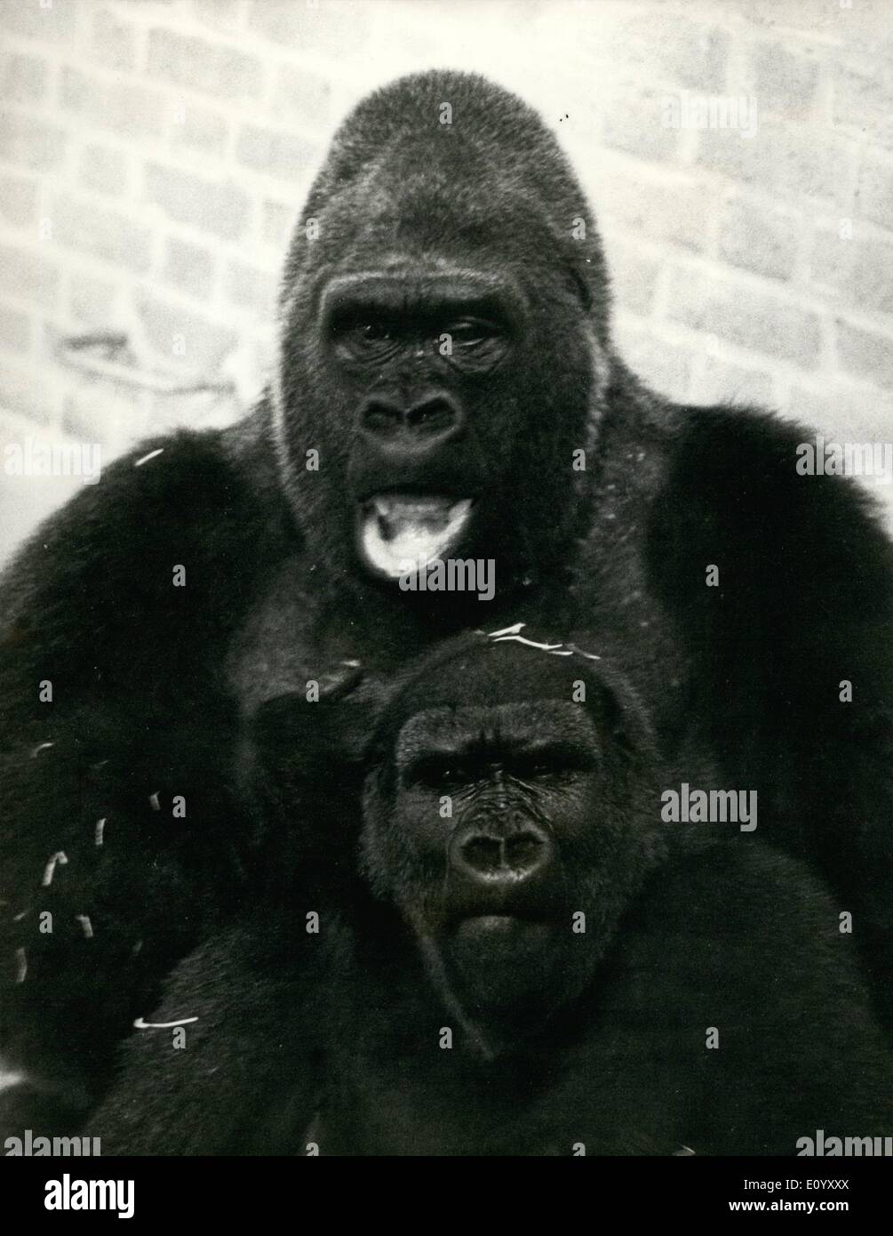 London zoos famous hi-res stock photography and images - Alamy