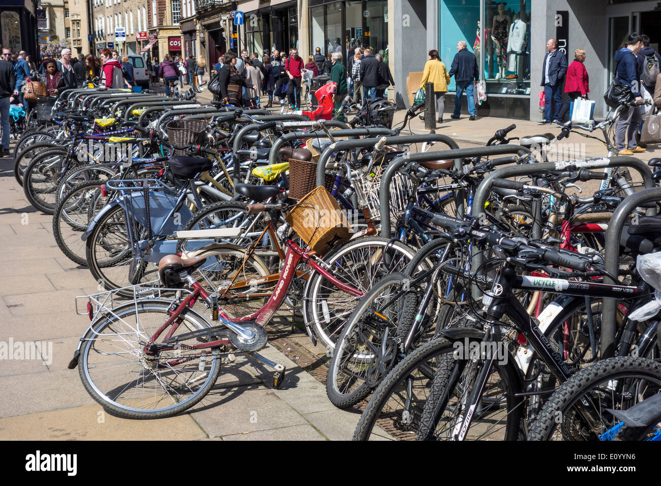 University student hi-res stock photography and images - Alamy
