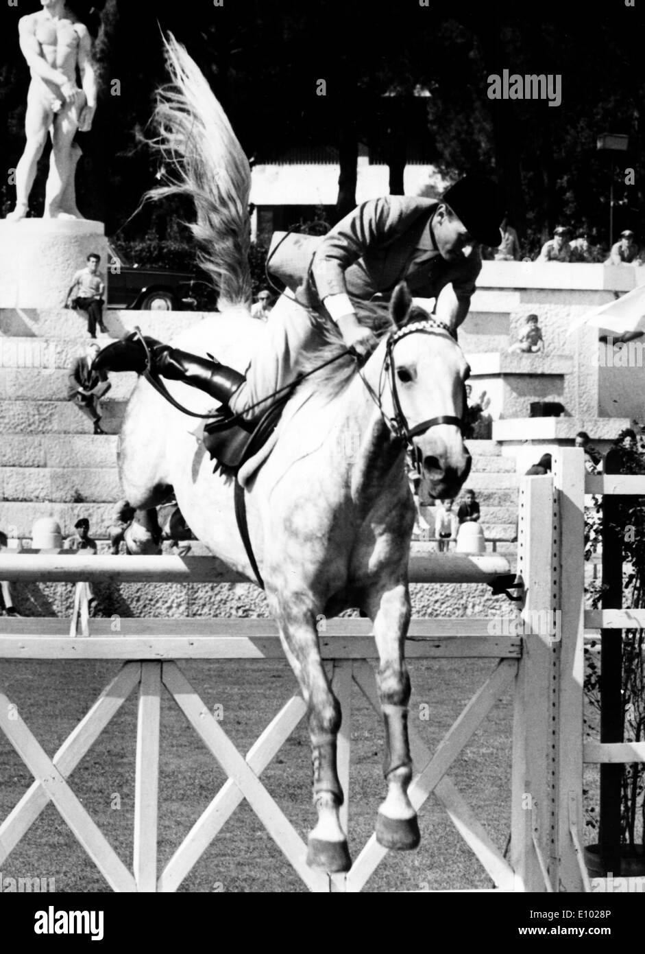 Mancinelli hi-res stock photography and images - Alamy